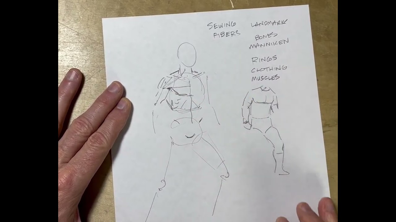 Figure Drawing Anatomy Skeleton Mannequin Muscles Action Construction