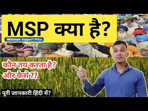 What is MSP | What is MSP? | Complete information about MSP in Hindi | Who decides MSP? 💰🌾