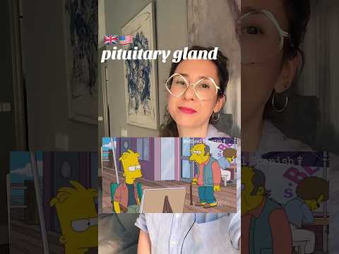 How to say PITUITARY GLAND in Spanish. #spanishfordoctors #medicalspanish#anatomy
