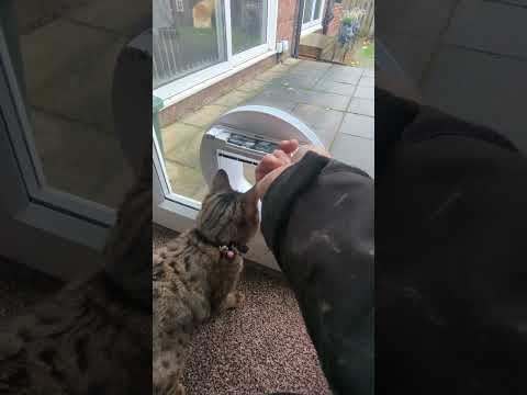 How to easily program a SureFlap Microchip activated Cat Flap #catflap #cats #catlovers #catsrule
