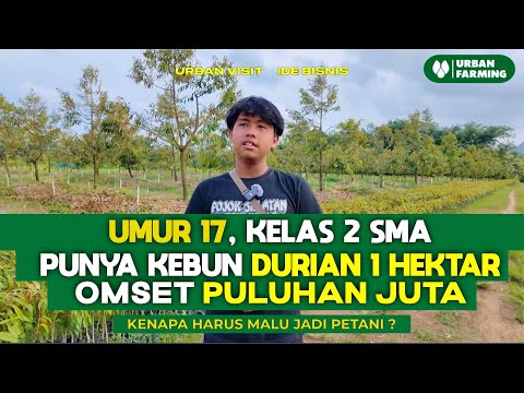 Umur 17 Tahun Punya 1 Hektar Lahan 😱 200 Pohon Durian Sultan I Omset PULUHAN JUTA ! #viralvideo