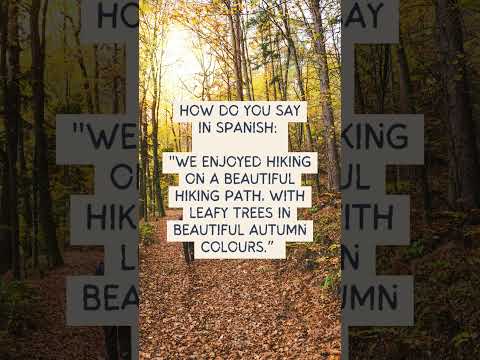 Spanish Phrase of the Day ✨Language Learning Made Easy #languagelearning #learnspanish