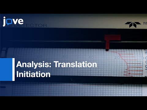 Analysis: Translation Initiation During Stress Conditions By Polysome Profiling l Protocol Preview