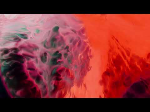 Roly Porter “Life Cycle of a Massive Star” Video – Foxy Digitalis