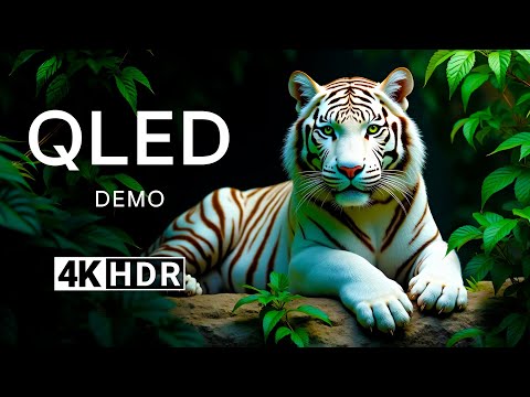 The Wild Animals Of The Jungle QLED Demo Dolby Vision HDR Ultra HD 60fps