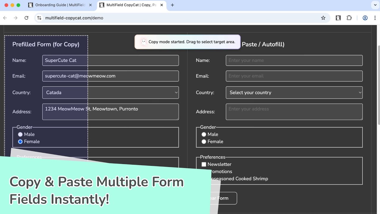 How to Copy & Paste Multiple Form Fields Instantly with Chrome Extension | MultiField CopyCat