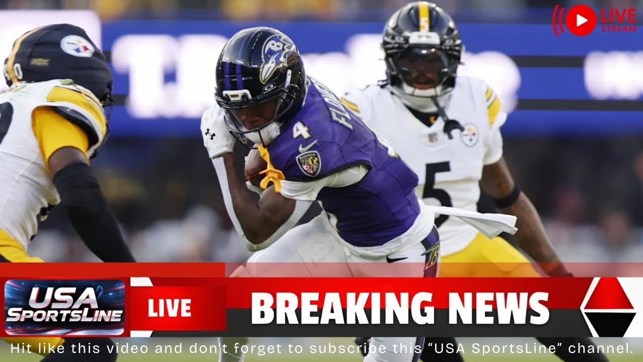 Panthers Playoff Scenario Explained | The NFL’s Ultimate Underdog Story। USA SportsLine