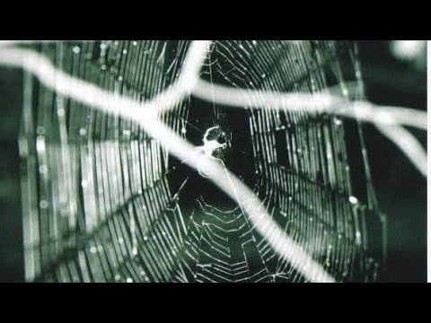 Midnight's Sons: The Spell/Just A Test/Phantoms by Lucas Machaera ft. Roman Counterman #indiefolk