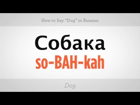 How to Say "Dog" in Russian | Russian Language