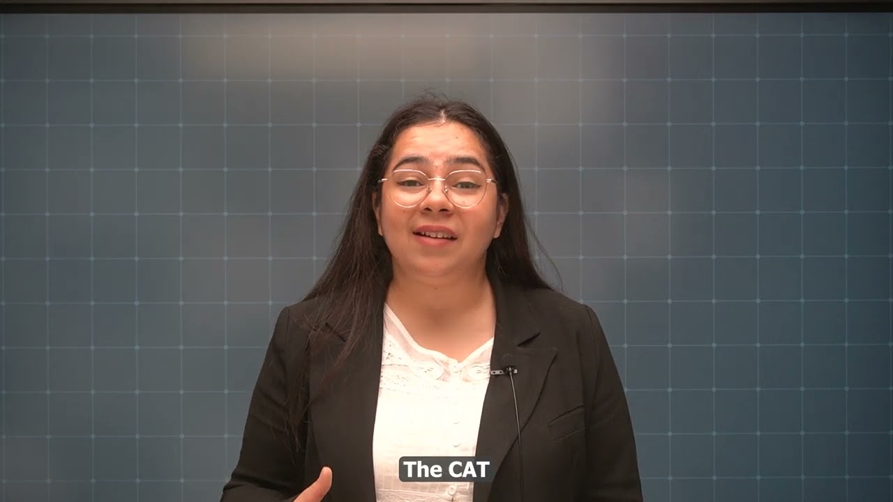 Convention Against Torture and Other Cruel, Inhuman or Degrading Treatment or Punishment (CAT)