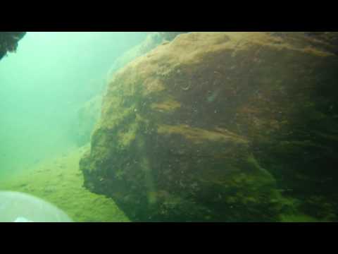 restriction diving 1