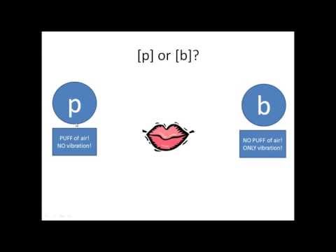 Park and Bark: The Difference Between Voiced and Voiceless Consonants