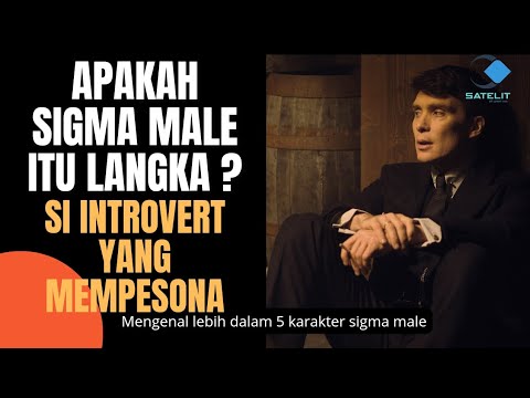 APAKAH SIGMA MALE ITU LANGKA ⁉️ si introvert yang mempesona