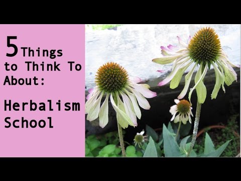 Five Things To Think About - How to Pick an Herbalism School / Herb School