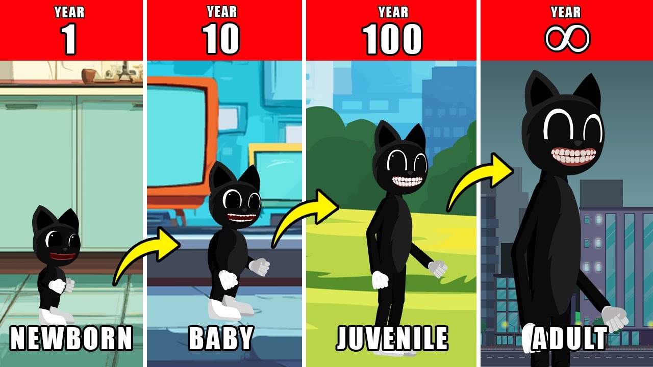 ∞ Years of Cartoon Cat Life Documentary: How Cartoon Cat Might Have Lived