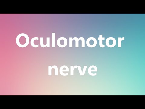 Oculomotor nerve - Medical Meaning and Pronunciation