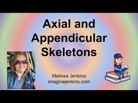 Axial and Appendicular Skeletons