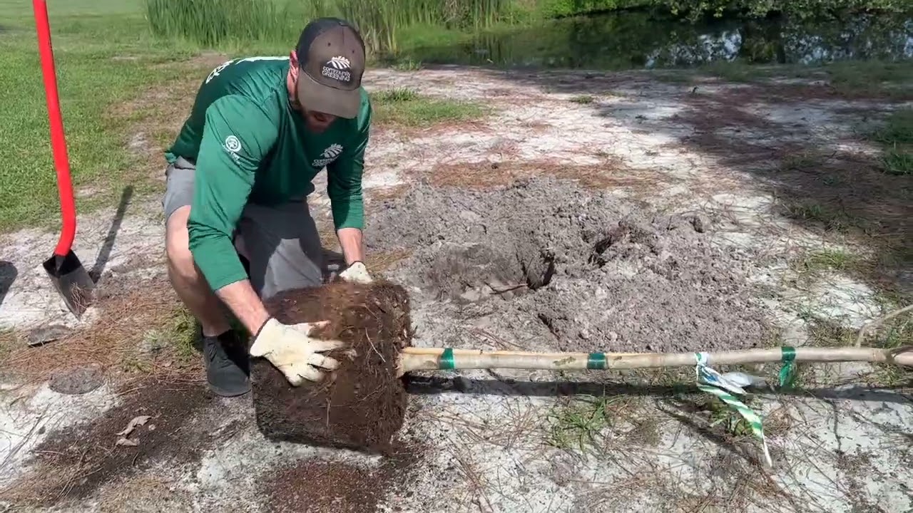 Tree Planting Instructional Video