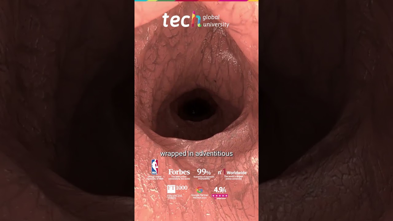 Vulvar Anatomy in Aesthetic and Functional Gynecology ❘ TECH Global University