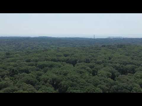 DJI Mini 3 First flight no color grading. Shot in HDR 4K 30 FPS
