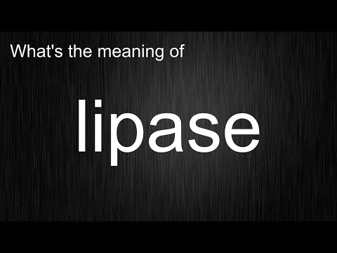 Struggling with "lipase"? Here's How to Use it Like a Pro
