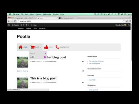 Font Awesome Menus - a Canvas Extension for WooThemes Canvas