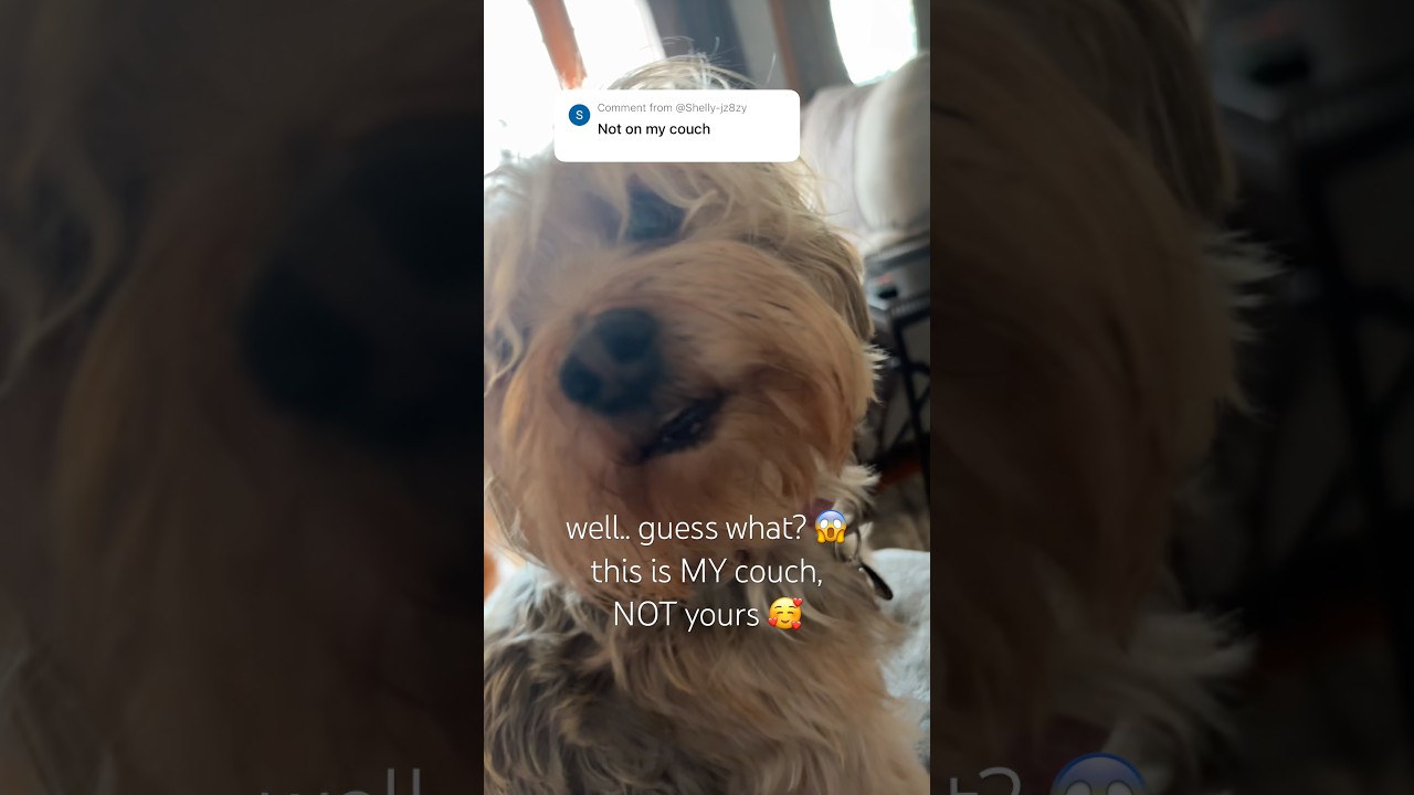 it’s so easy just to scroll if you don’t like something or someone 😘