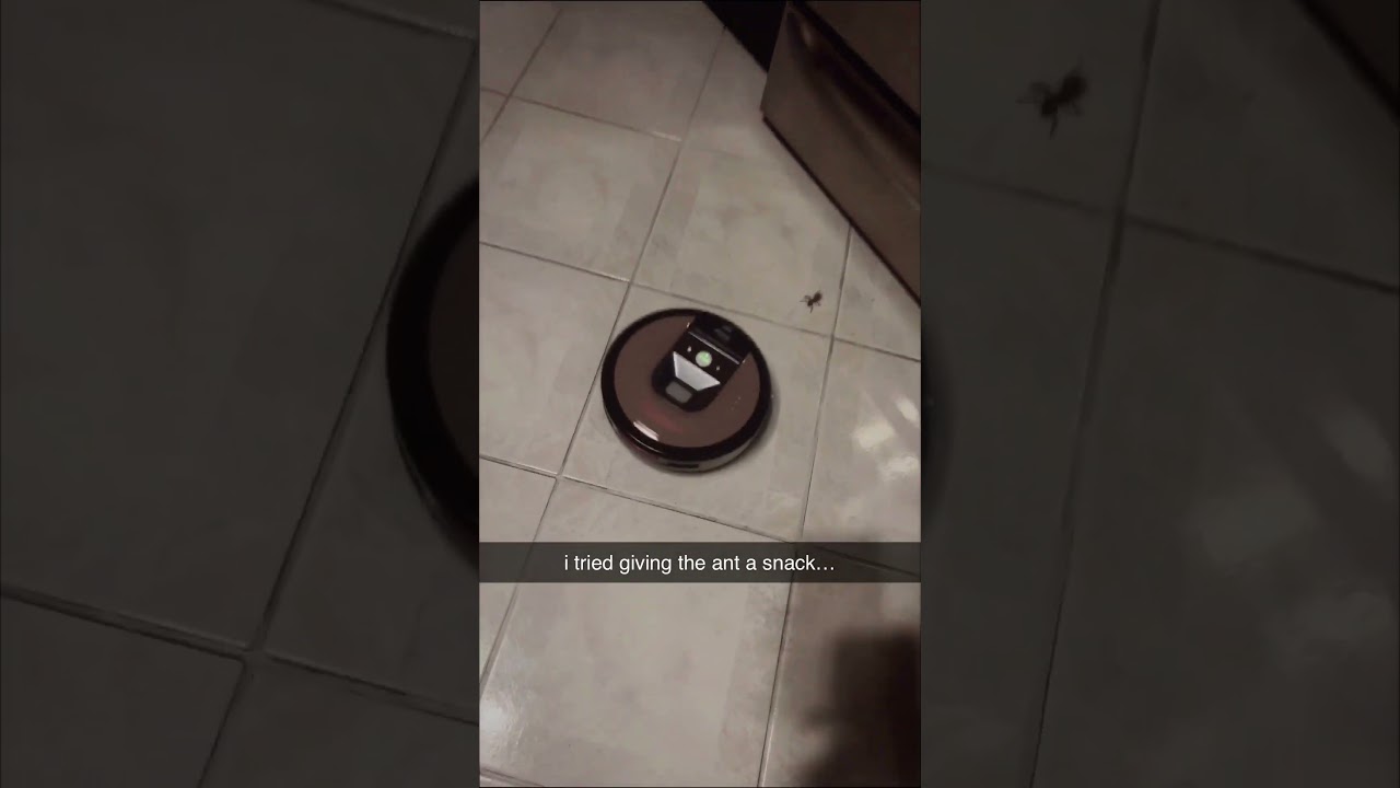 i tried giving the ant a snack... #shorts