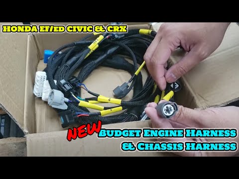 ||HONDA EF9 / ED7 88-91 CIVIC & CRX|| New Budget Engine Harness & Making a Chassis Harness π₯