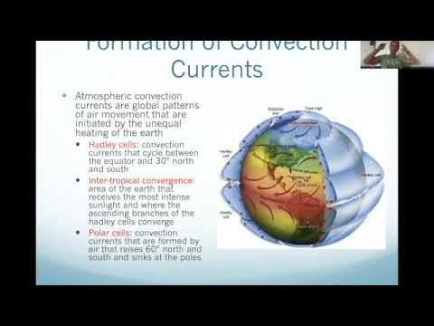 APES Biomes and Succession