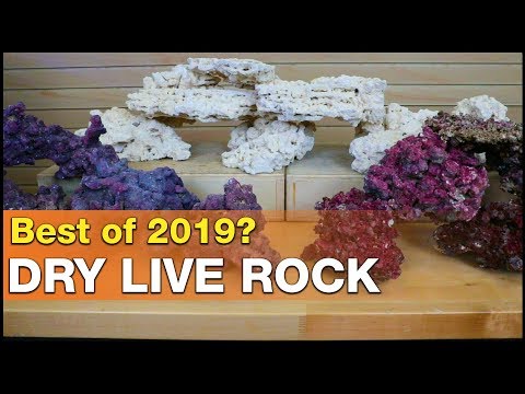 How to choose the BEST dry live rock for your reef tank? Here's how we did it!