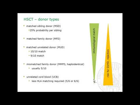 Hematopoietic Stem Cell Transplantation