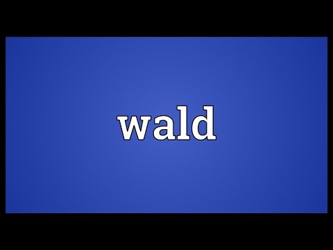 Wald Meaning