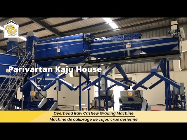 Automatic Cashew Cutting Machine - 4 Head Cashew Cutting Machine ...