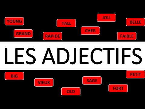 Learn French Adjectives for Beginners