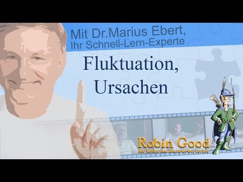 Fluktuation, Ursachen