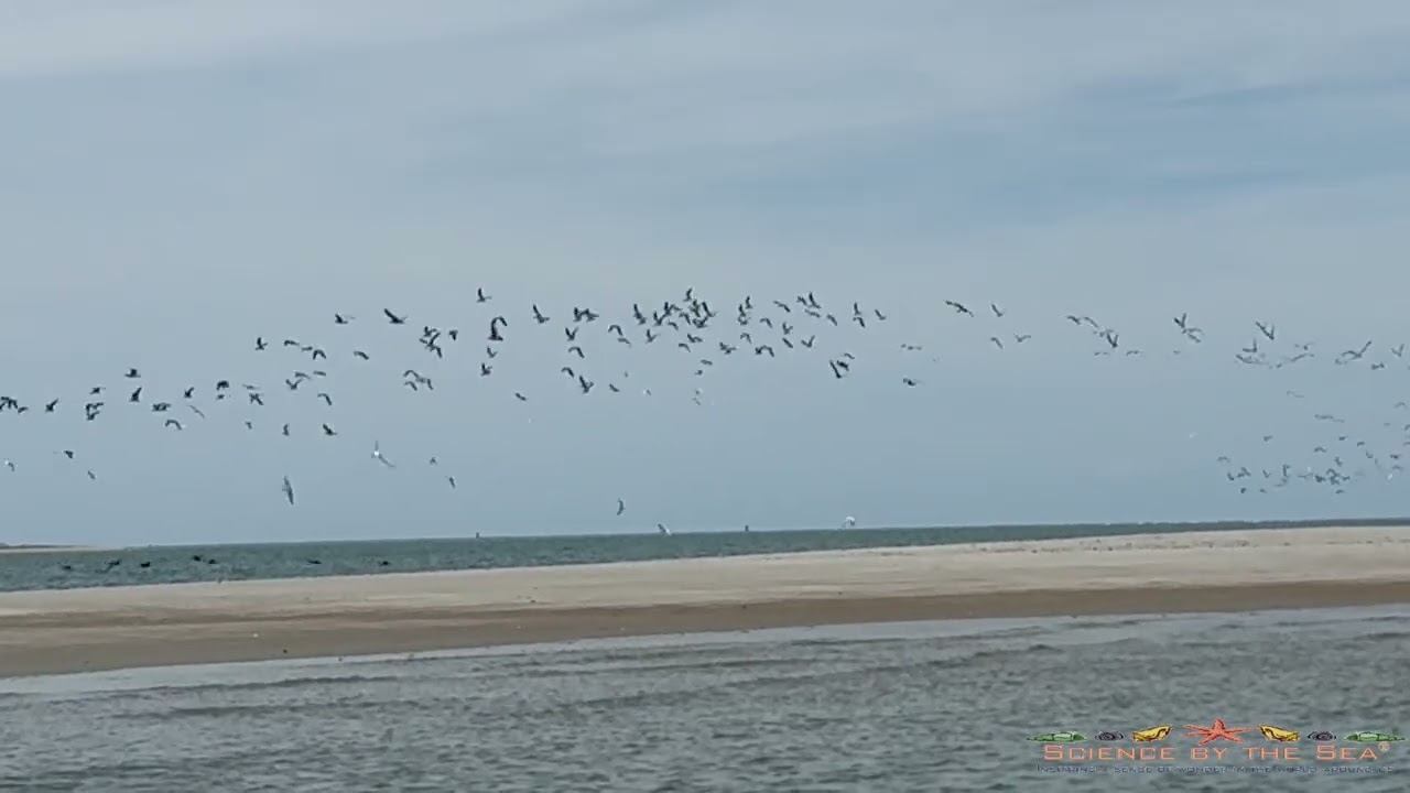 17APR2026 - SBTS Friday