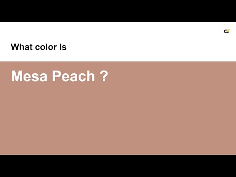 Mesa Peach color #c19180 hex color - Red color - Cool color c19180