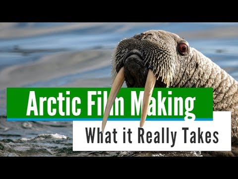 Extreme Outdoor Filmmaking and Photography in the Arctic
