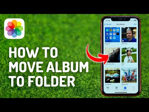 How to Move Album to Folder iPhone - Full Guide