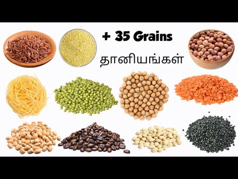 தானியங்களின் பெயர்கள் Grains vocabulary collections with Tamil meanings