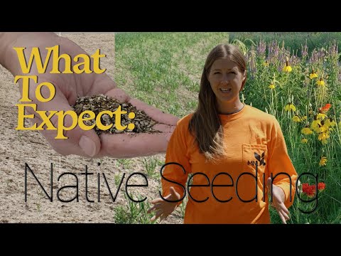 What to Expect: Native Seeding