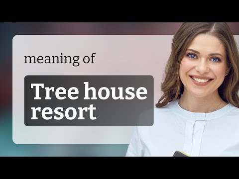 Exploring the Charm of Tree House Resorts