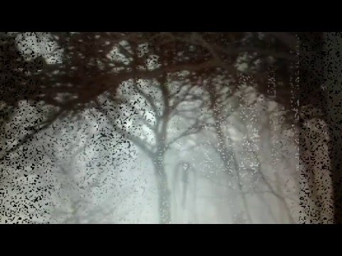 What is Slender man