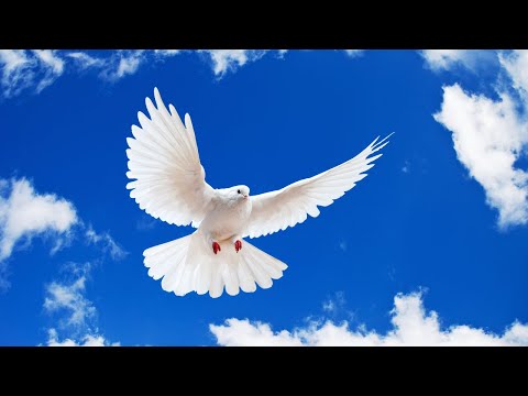 Jerry Thompson Home-going Services