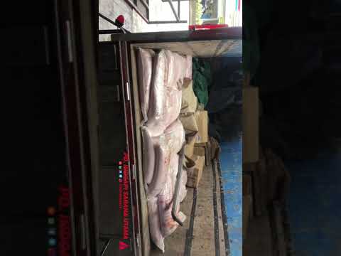 Serbuk pamadam api ABC Powder