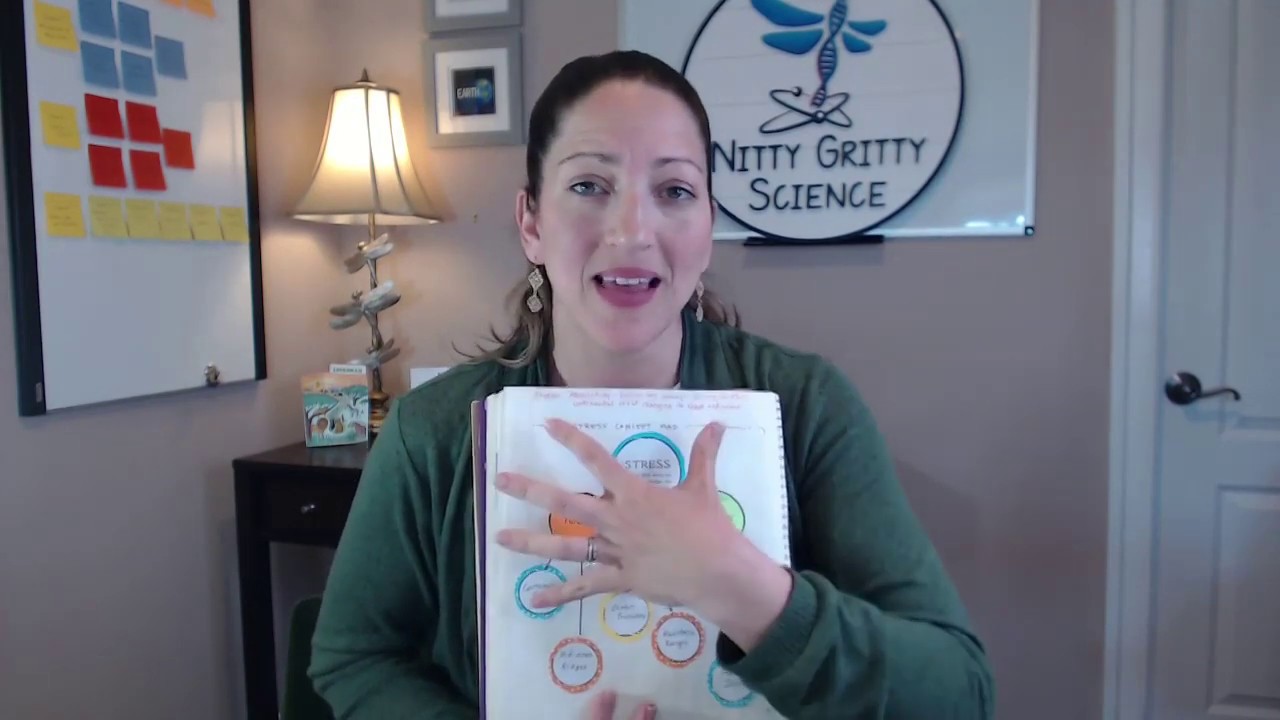 Science Interactive Notebooks for Independent Learning