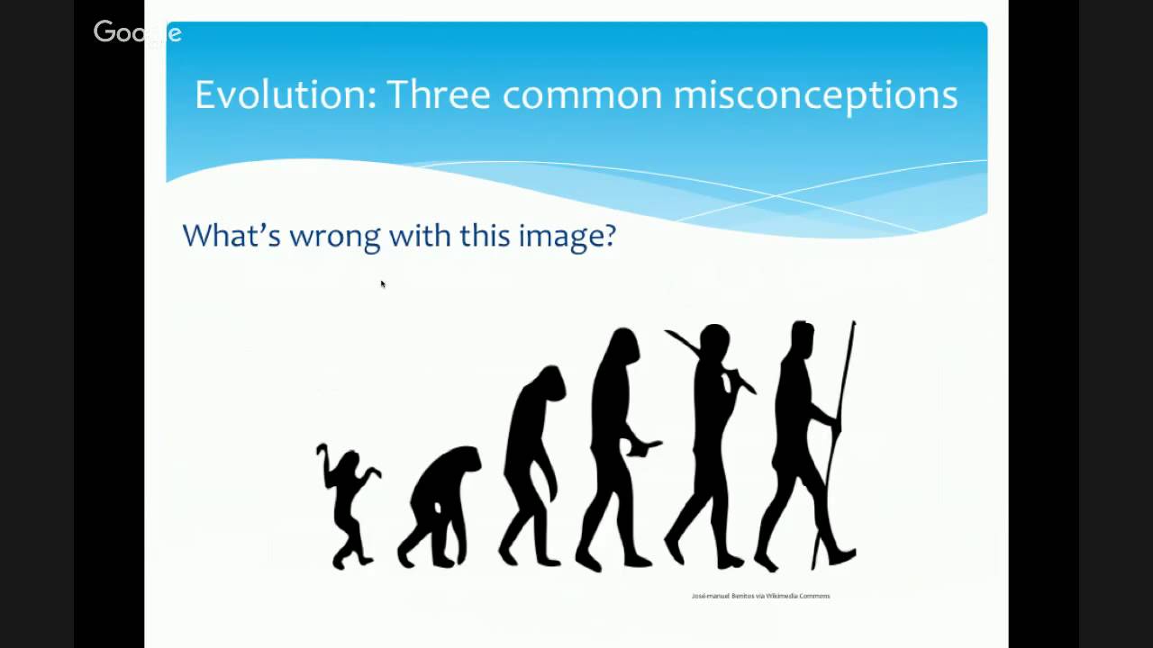 Everything You Need to Teach Evolution