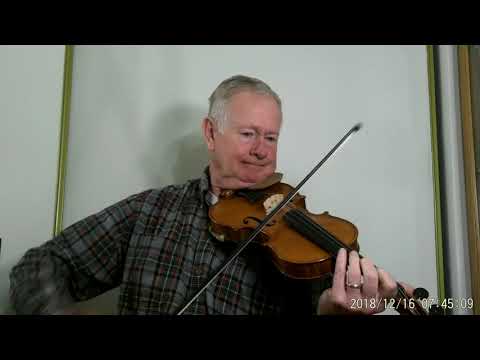 Prim Cello String A Orchestra iMuso