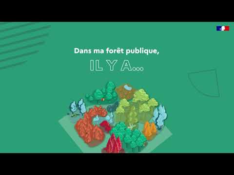 Office National Des Forêts | Choisir le service public